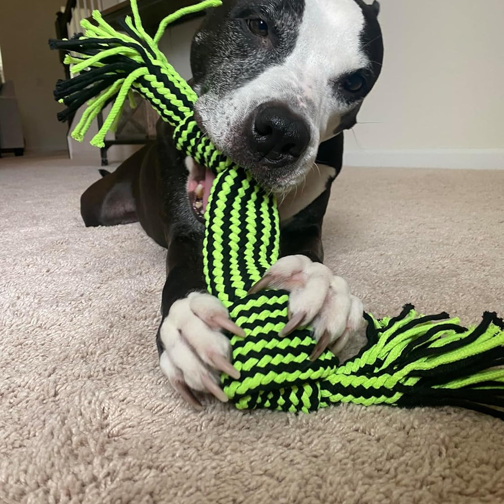 Jolly Pets® Knot-N-Chew (2 Knot) – Dog Toy – Big Dog Pet Supply